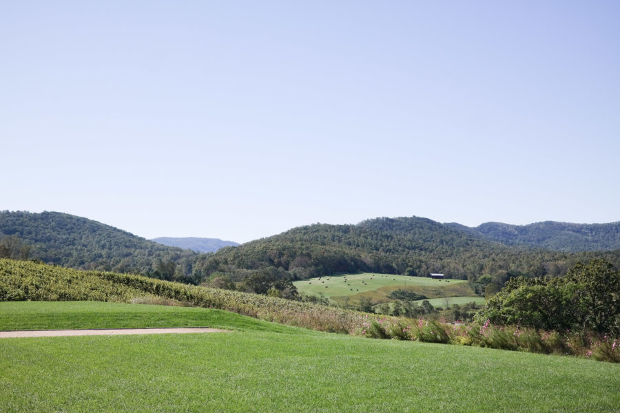 Pippin Hill Farm - Sarah Tucker