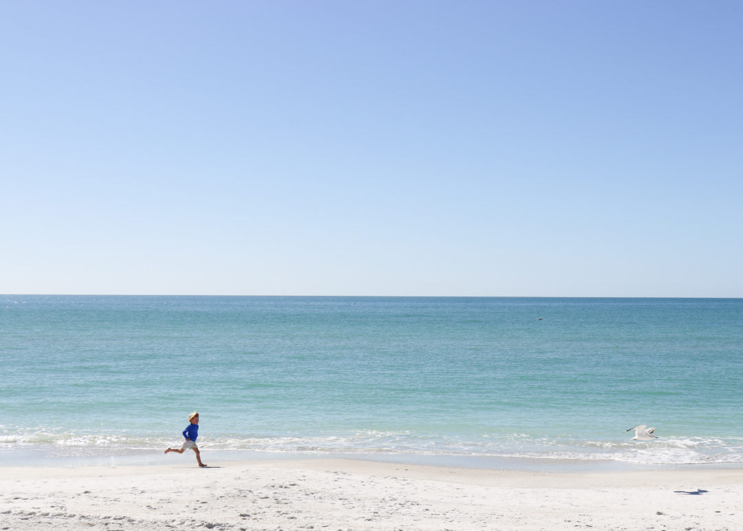 january beach days + the crazy days before two - Sarah Tucker