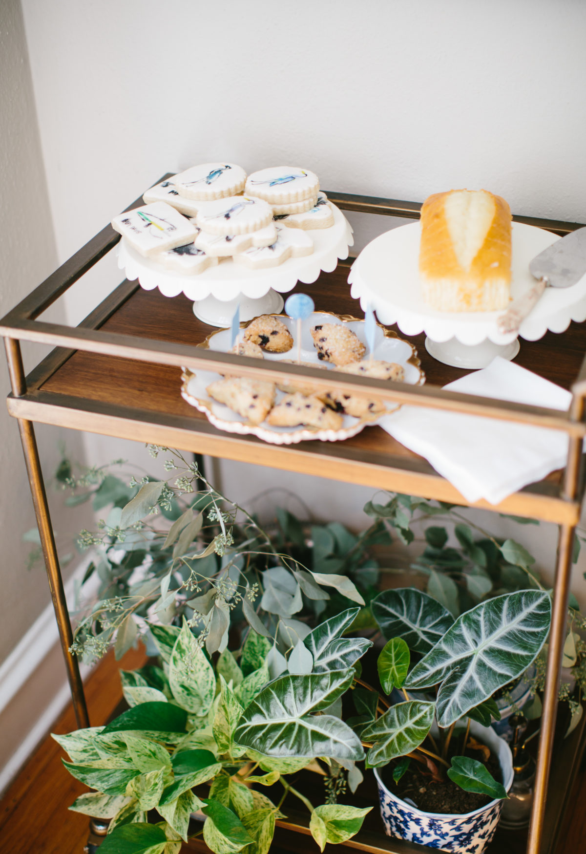 sprinkle shower for baby davis - Sarah Tucker