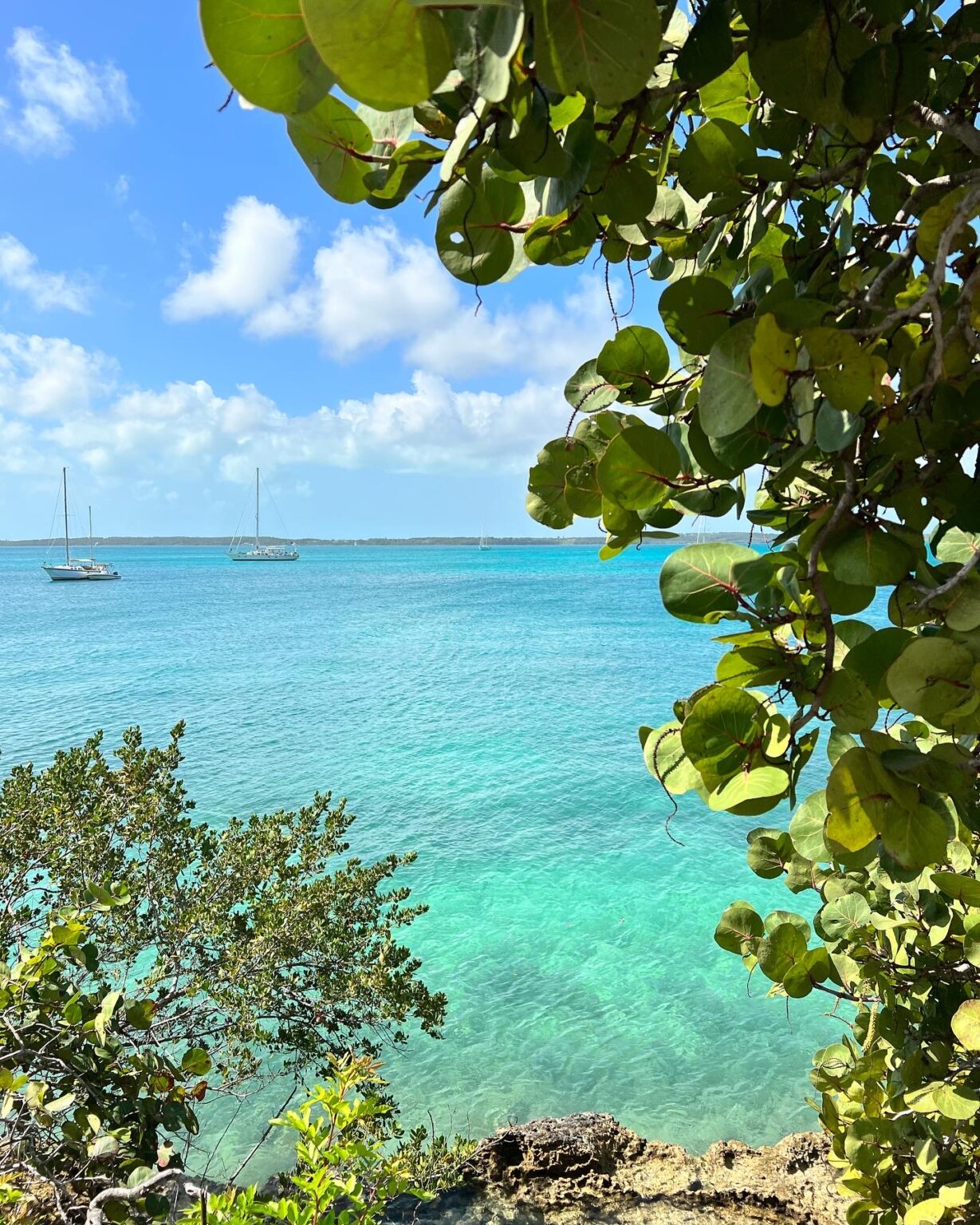 Harbour Island Bahamas - Sarah Tucker